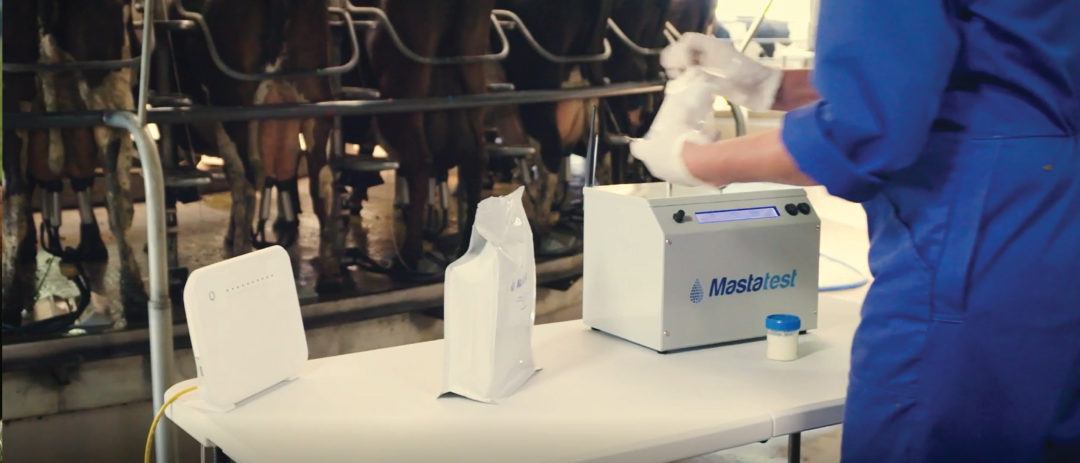 A useful in-house test available to clients – Mastatest® by Mastaplex ...